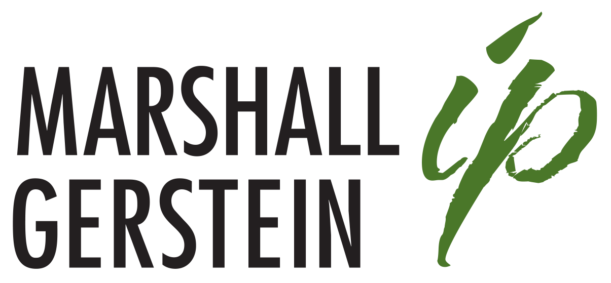 Elite Sponsor – Marshall Gerstein – Chicago Women in STEM Initiative